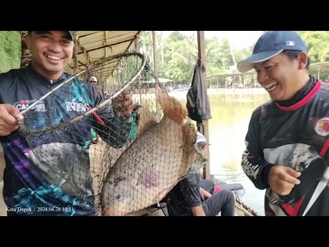 LUAR BIASA MERIAHNYA‼️MANCING GURAME‼️TRIK MANCING IKAN GURAME DI KOLAM || PEMANCINGAN ANDIR ...