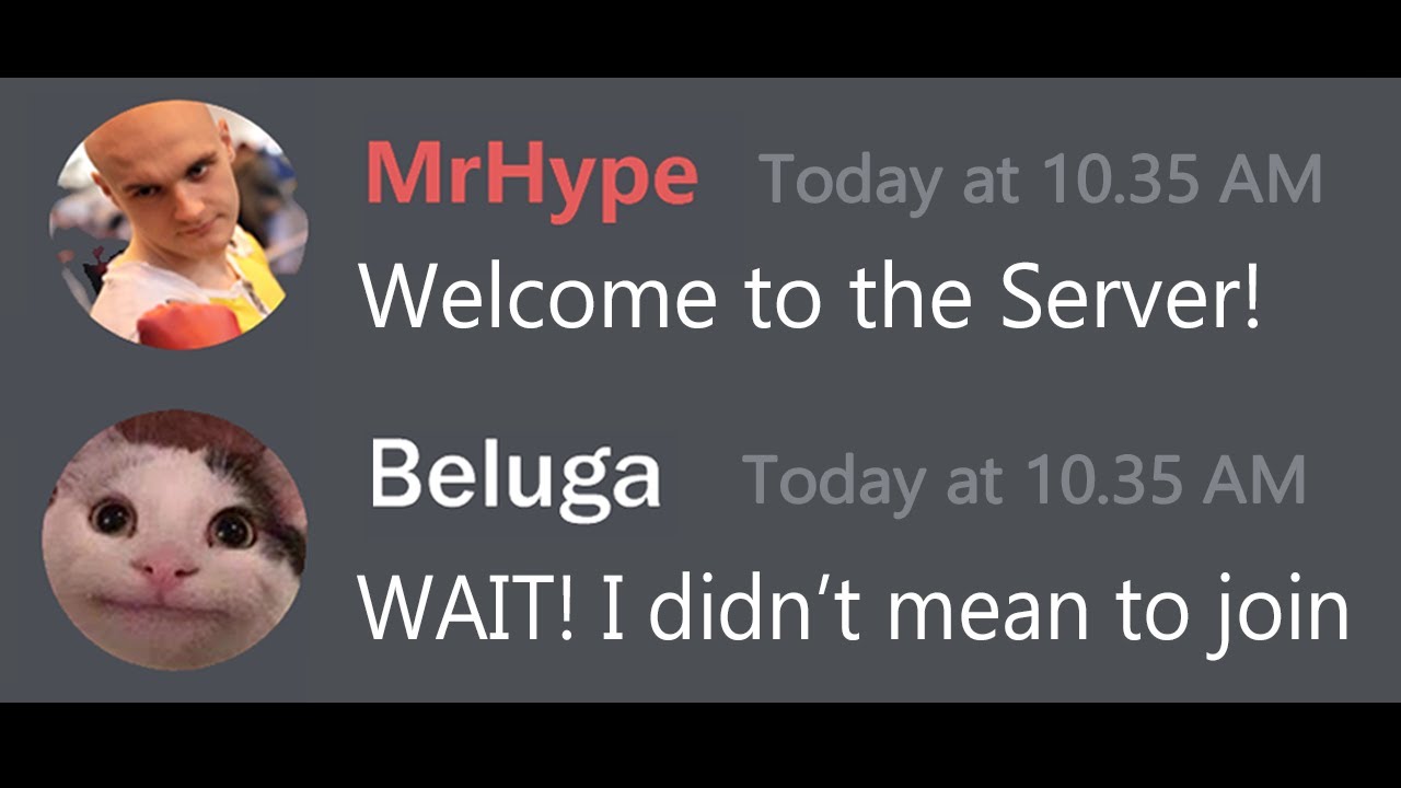When Beluga joins your Discord server... - YouTube