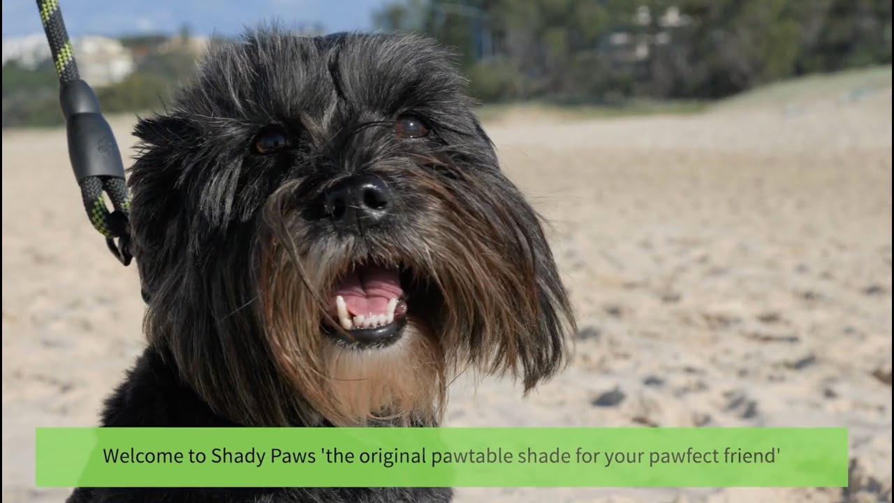 Shady Paws® 'The original pawtable shade for your pawfect friend ...