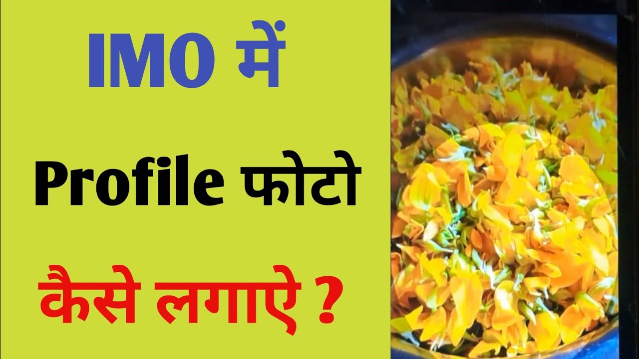 Imo Me Profile Photo Kaise Lagaye | How To Set Profile Picture in imo ...