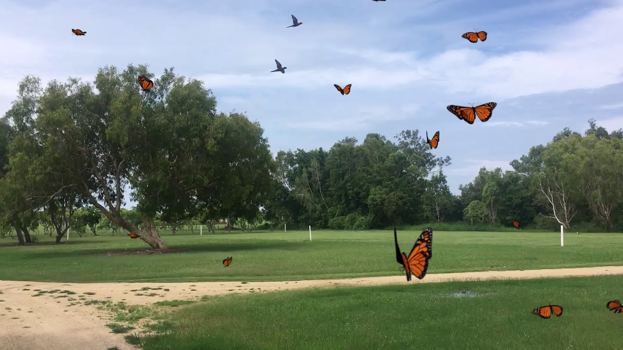 Davidson Park, Bowen QLD - YouTube