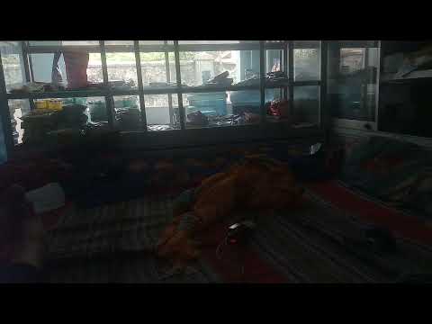 guys aku ngintip ibu ku guys lagi belajar leptop