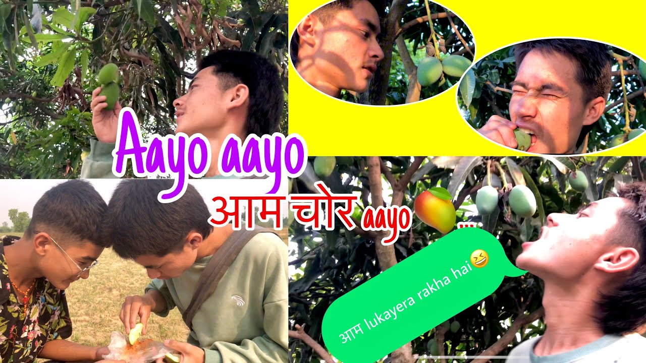Aayo aayo आम chor aayo😆🥭||Aam lukayera rakhnu hai@aayushgurung231 - YouTube