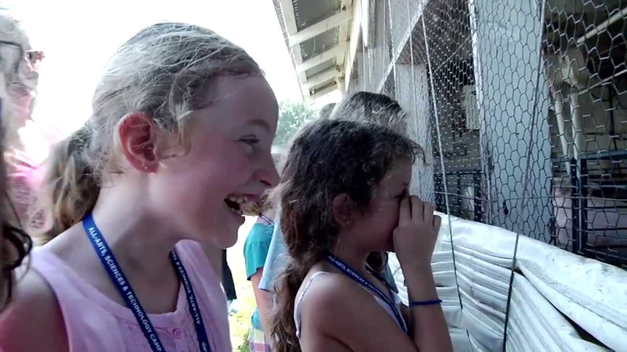 Wil Davis' 2013 Film Reel - YouTube