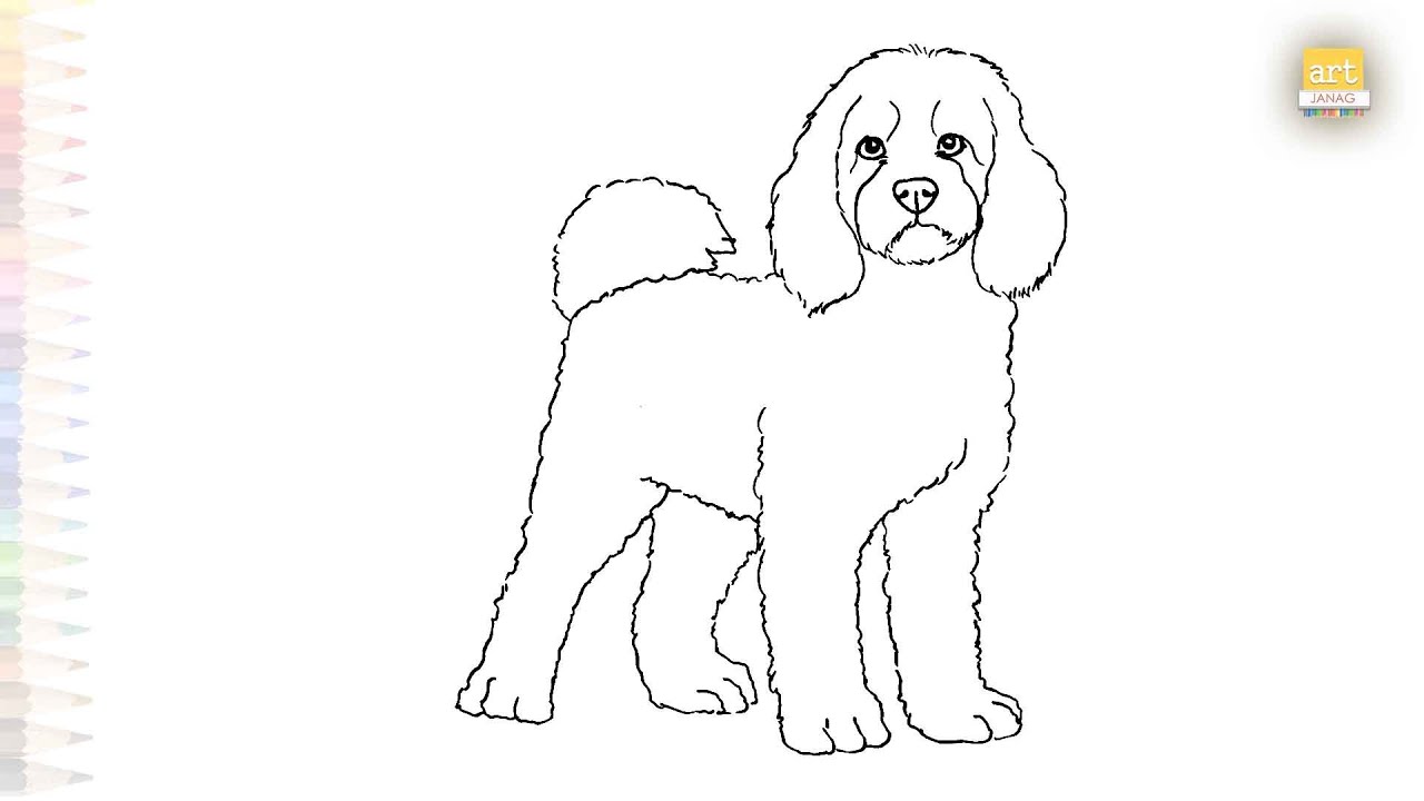 Cockapoo drawing easy | Dogs outline sketches | How to draw A Cockapoo ...