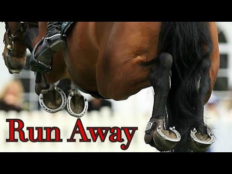 Run Away || Show Jumping Music Video || - YouTube