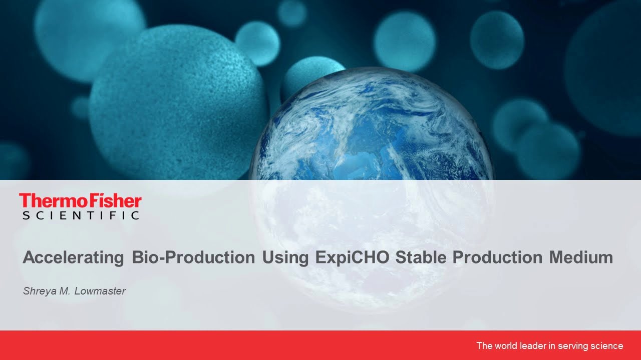 Accelerating Bio-Production Using ExpiCHO Stable Production Medium ...
