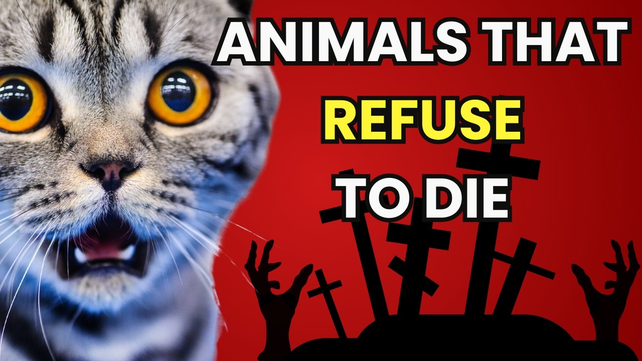 10 Animals That Refuse to Die – You Won’t Believe #1! - YouTube