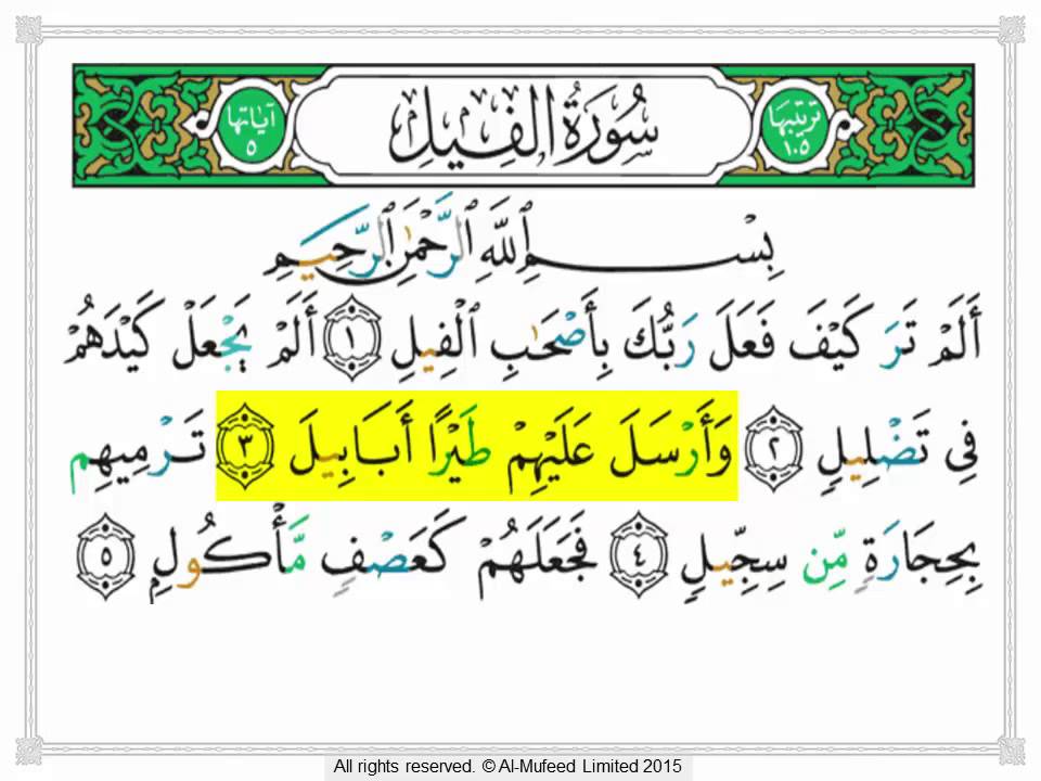 Al-Mufeed | 105 Surah Al-Fil (complete) Abu Dawood At-Talhami (Luton ...