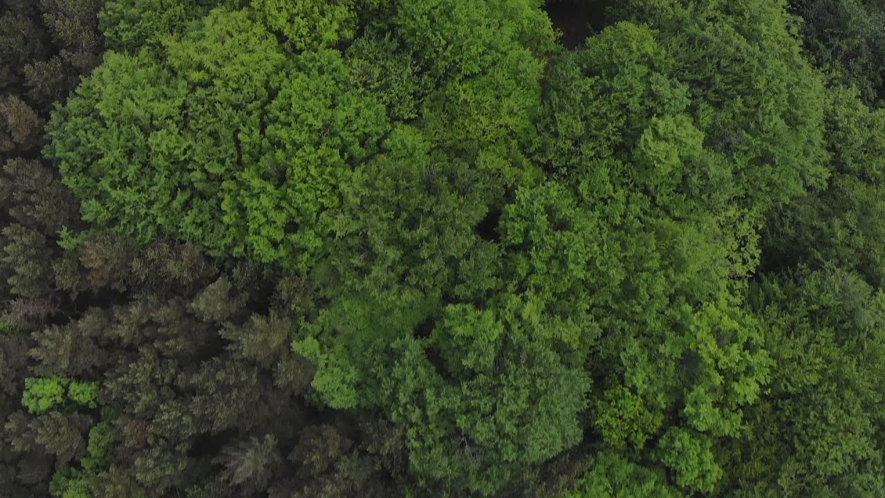 Tandle Hill Country Park Royton Oldham drone footage - YouTube