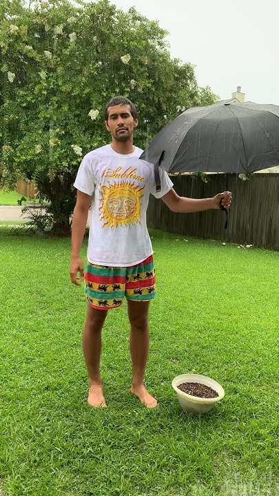 ☔️ WHY DOES IT RAIN SO MUCH IN THE SUMMER? • • #rain #summer #plate #fyp #shorts #explore # ...