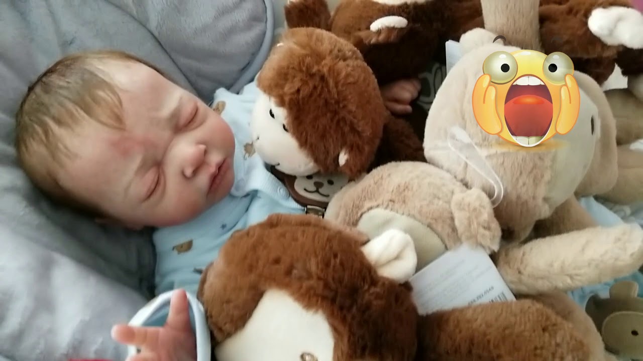 RETO 24 HORAS VIVIENDO UN CHANGO O MONO CON MI BEBE REBORN DYLAN | LOS ...