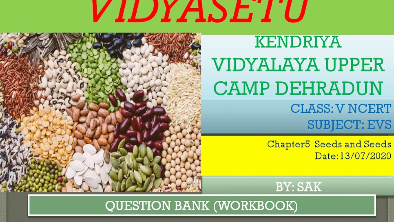 EVS CLASS 5 NCERT Ch 5 SEEDS SEEDS WORKBOOK SOLUTION PART1 BY evs-class-5-ncert-ch-5-seeds-seeds-workbook-solution-part1-by