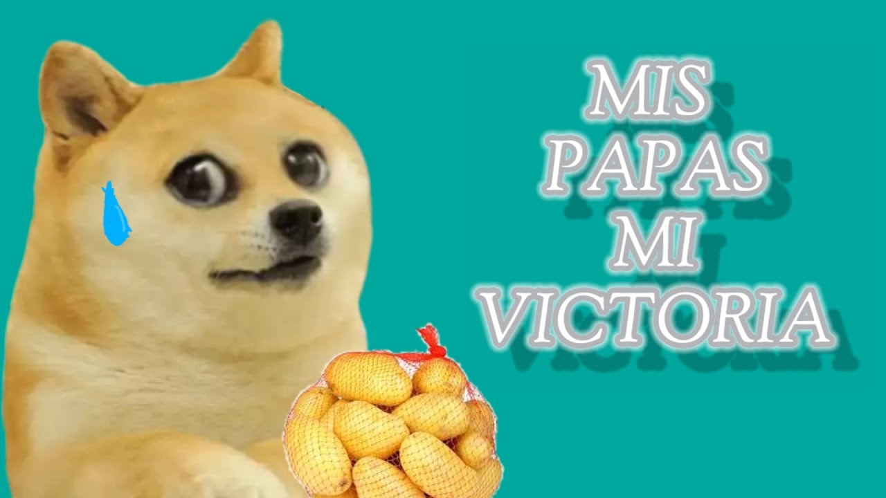 -Cheems RT: La historia de cómo le gané a "El Toro" (y conseguí mis ...