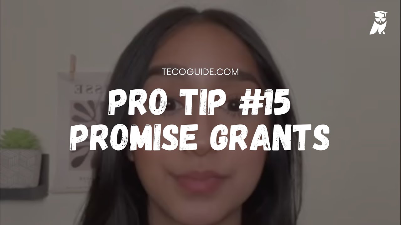 Pro Tip #15 - Promise Grants - YouTube