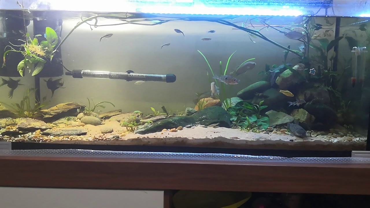 River tank aquaescape - YouTube