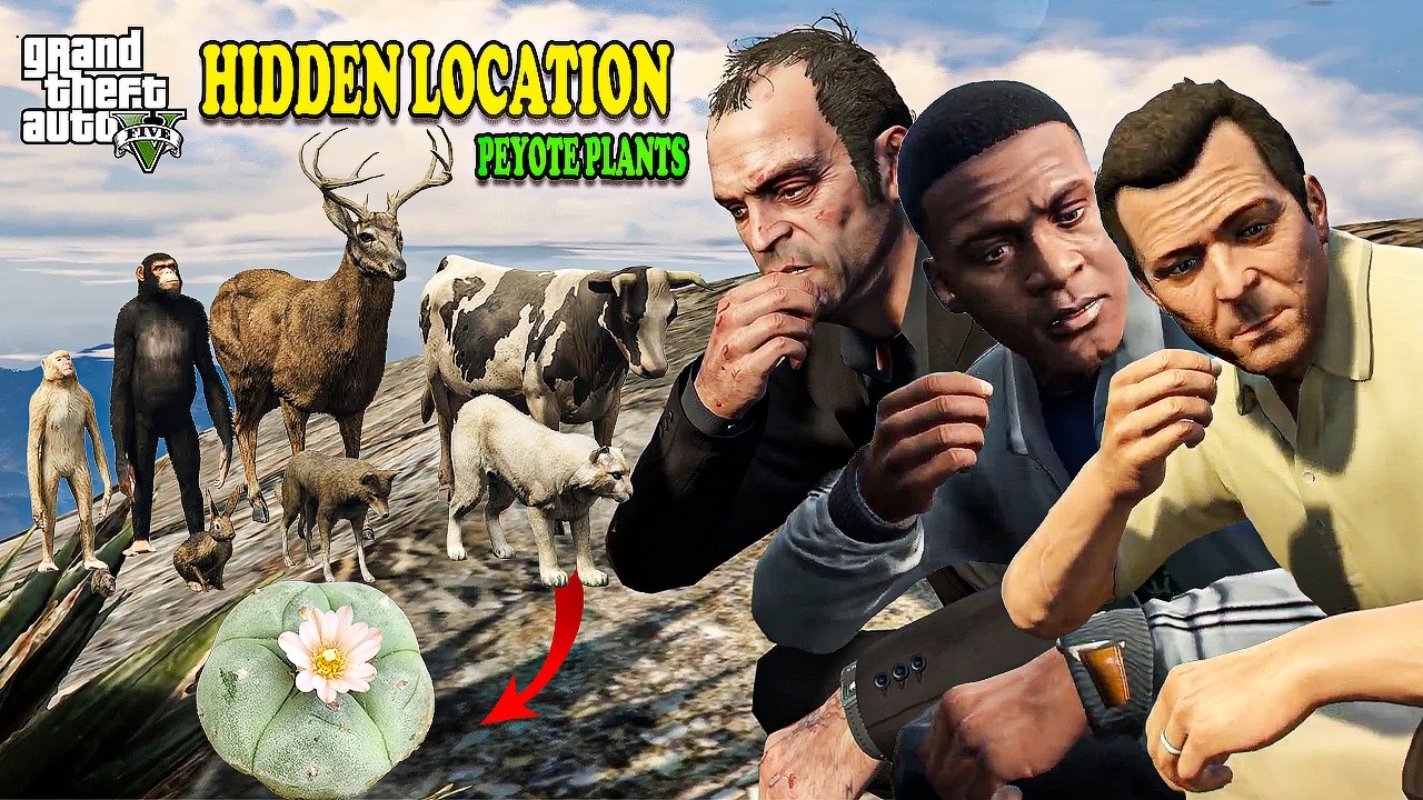 GTA 5 – Every Peyote Plant Location Guide (Complete Map 2026) - YouTube
