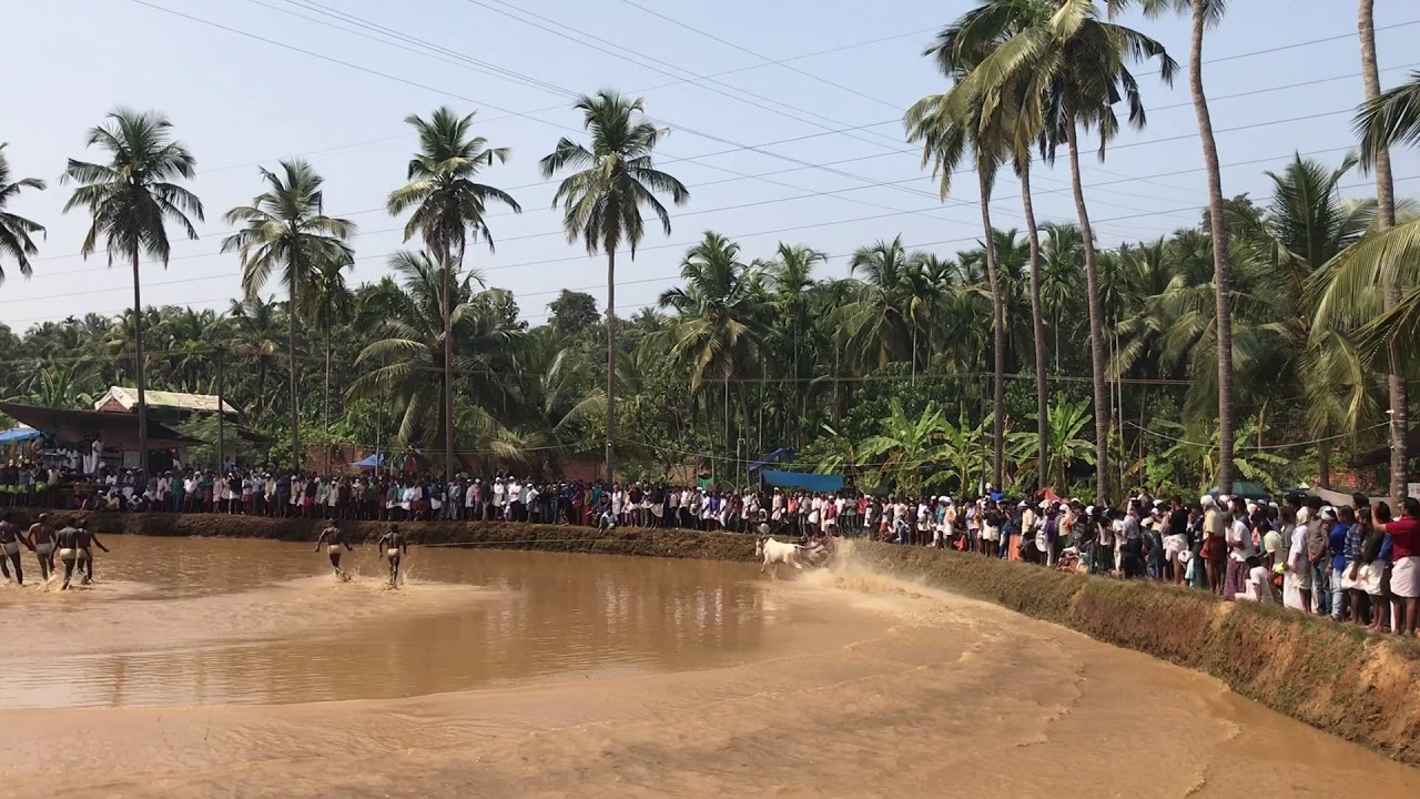 Kala poru from pullalooor - YouTube