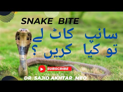 Snake Bite First Aid: Life-saving tips by Dr. Sajid Akhtar Meo - YouTube