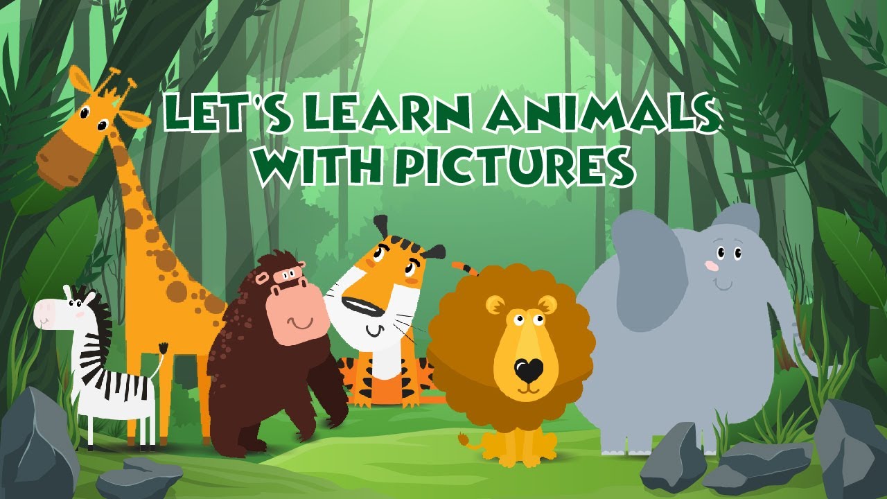 Animal Learning Videos For Kids & Toddlers | Learn with Fun - YouTube