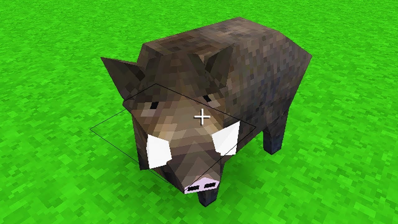 Animals Fight Boar Vs Jaguar Fountain Crossing Choose - minecraft - YouTube