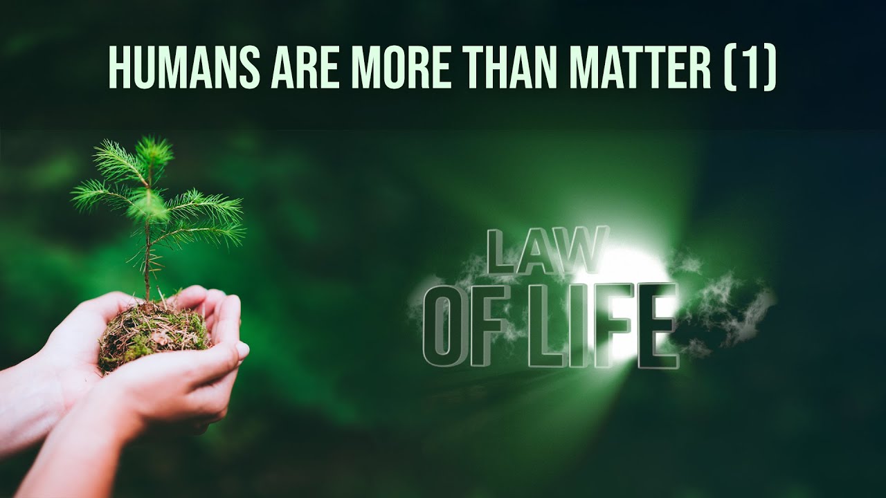 5 - Humans are more than matter (1) | Law of Life - YouTube