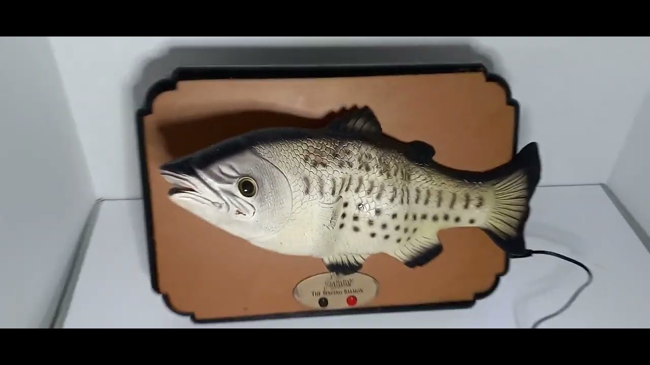 Sammy the singing salmon - YouTube