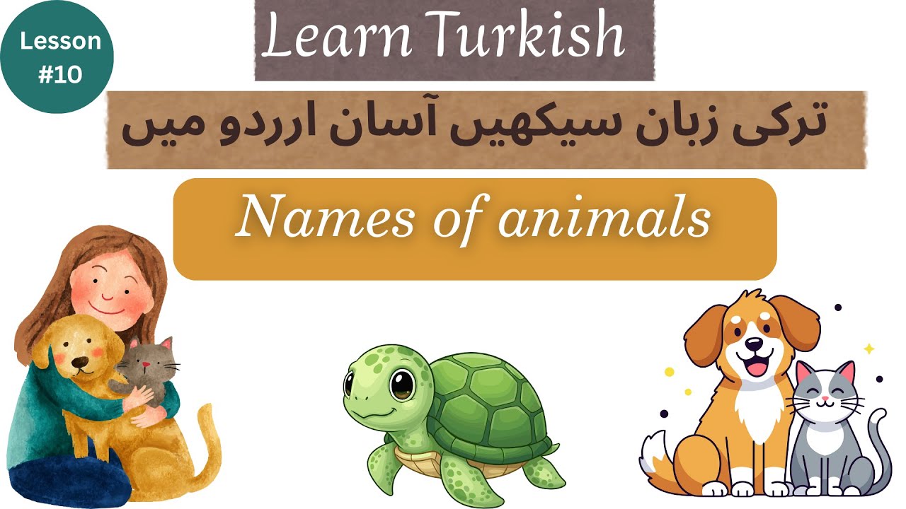 | Learn Basic Turkish in 3 minutes | Turkish for beginners | Basic ...