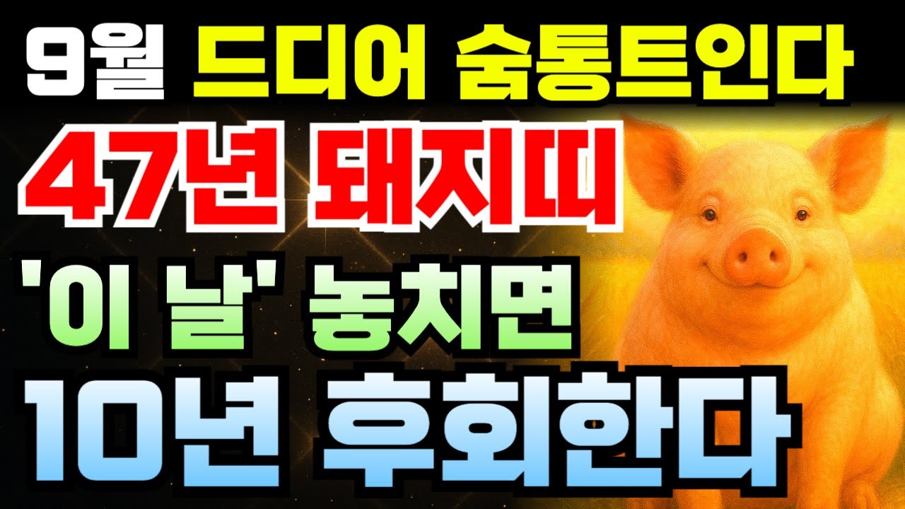 예언의 문서에 새겨진 바, 79세 돼지띠 1947년생 정해년생은 2025년 9월 운세에 하늘이 내려준 겹경사를 맞이하리라 ...