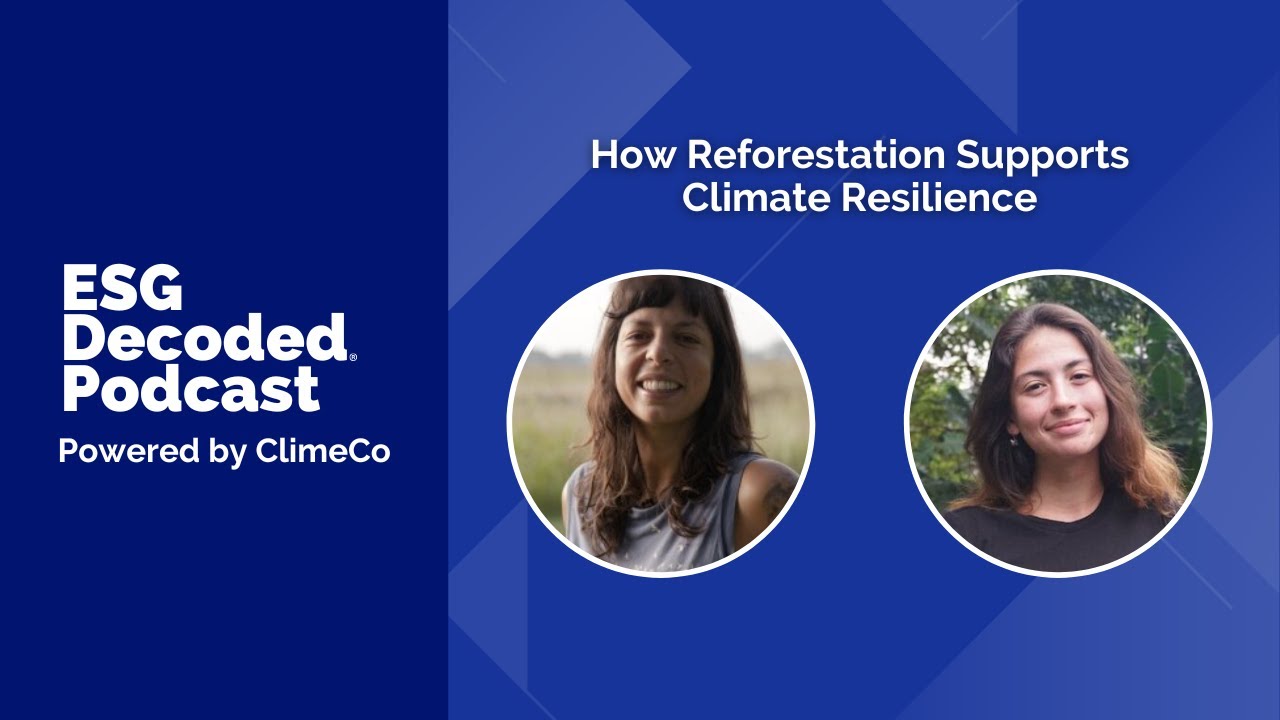 How Reforestation Supports Climate Resilience | ESG Decoded Podcast ...