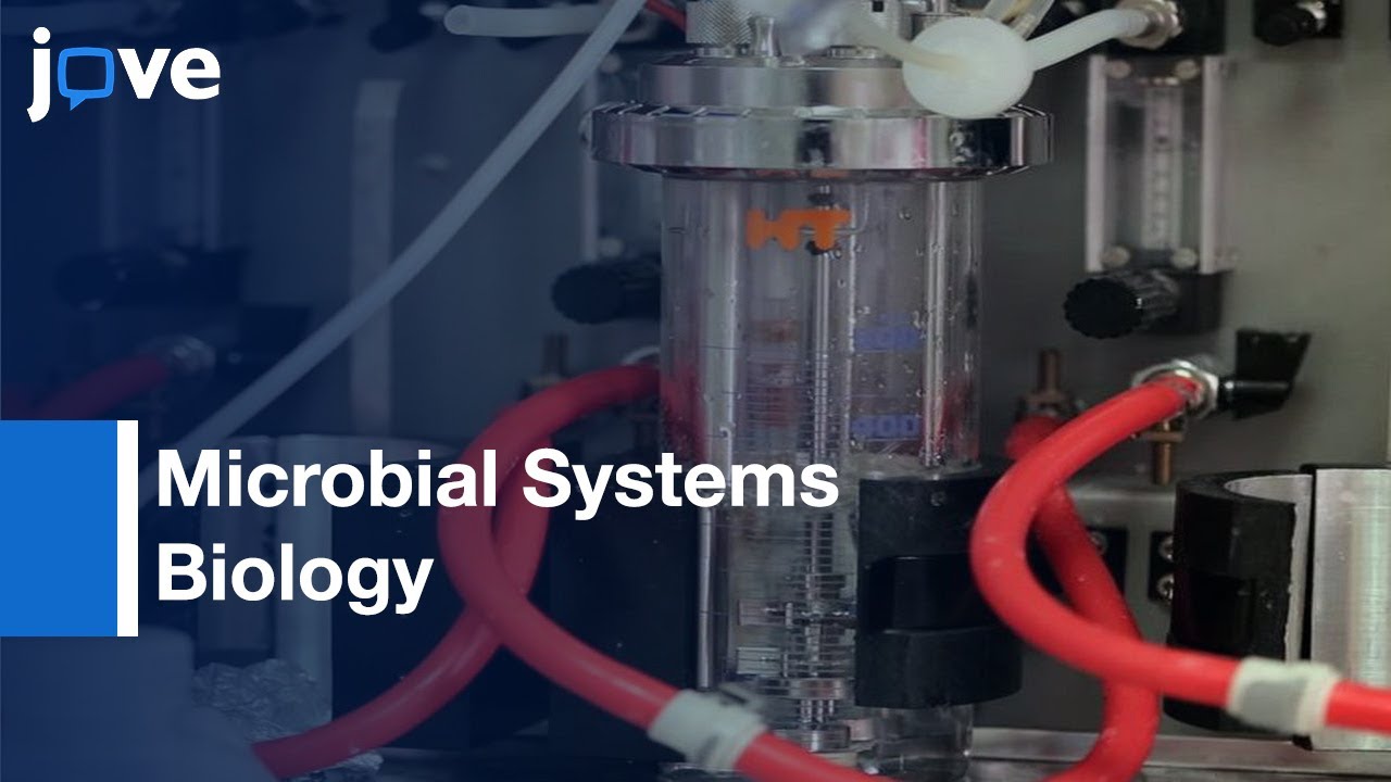 Chemostats In Microbial Systems Biology l Protocol Preview - YouTube