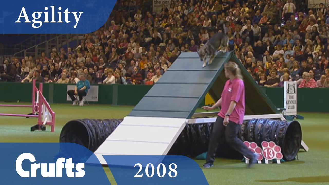Agility - Circular Knockout Race 2008 | Crufts Dog Show - YouTube