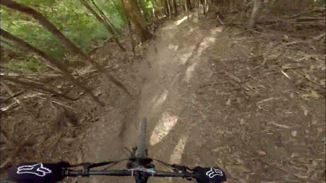Tas Gravity Enduro 2025 - South Hobart - Stage 1 (Sexual Soil) - YouTube