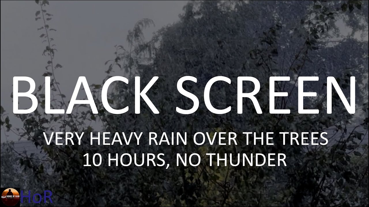 Very Heavy Rain Over the Trees in the Garden, 10 Hours No Thunder by ...