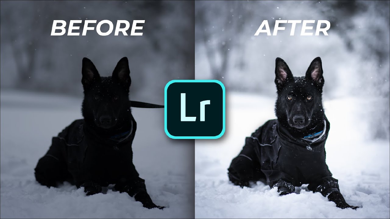 How To Edit Black GSD Photos | Adobe Lightroom Tutorial - YouTube