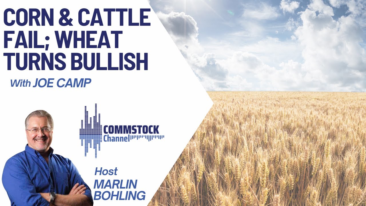Corn & Cattle Fail; Wheat Turns Bullish - YouTube