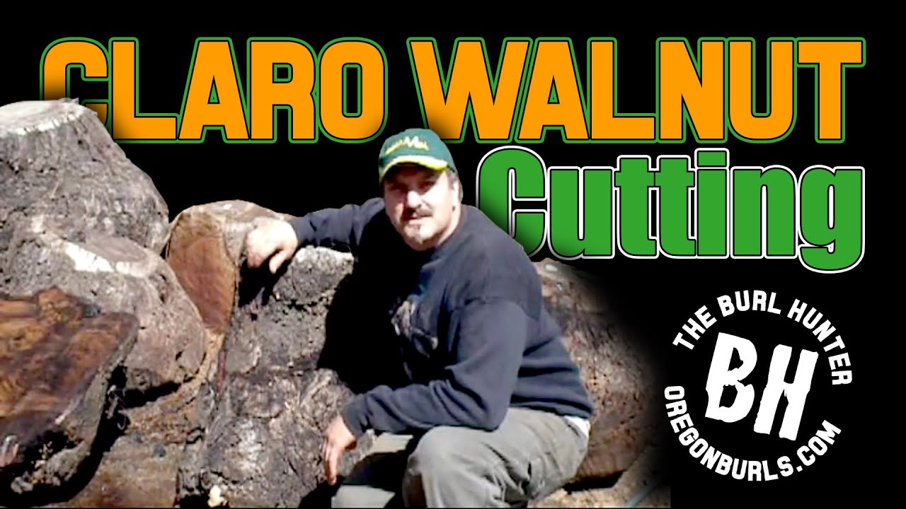 Claro Walnut Burl Cutting - YouTube