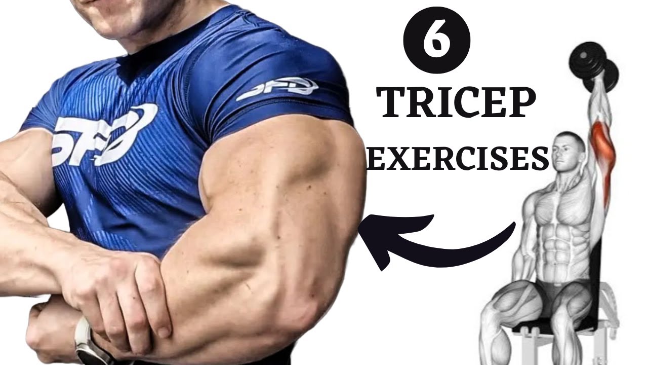 6 Best Exercises To Get Big Triceps Workout | perfect Triceps Exercises ...