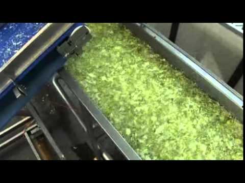 Salad processing & mixing line up to 2t/h: washing, cutting, spin ...