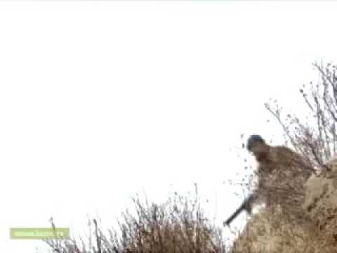 Sefkat tepe celil uzmani tavuta yakiyor