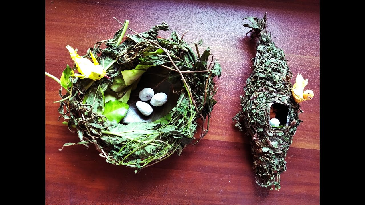 Bird Nest Craft How To Make Bird Nest For School Projects Easily Bird Nest Craft How To Make Bird Nest For School Projects Easily