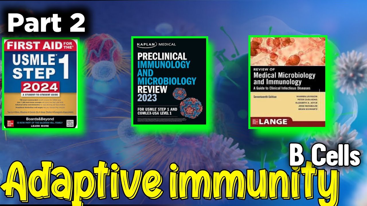 B cells part 2| Adaptive Immunity| Immunology| Review of First Aid to ...