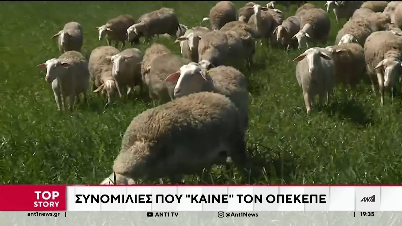 Αμαρτωλές επιδοτήσεις: Οι συνομιλίες που "καίνε" το κύκλωμα του ΟΠΕΚΕΠΕ ...