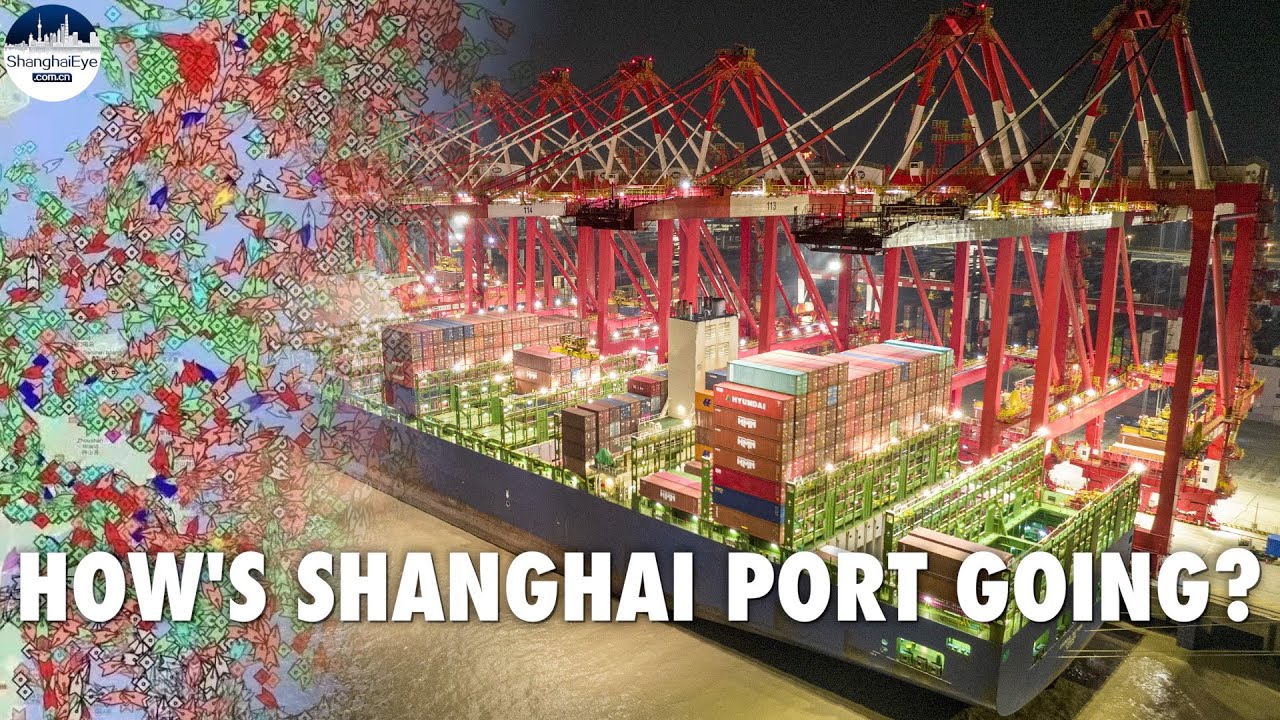 Shanghai port maintains 24-hour ops, goes all out to keep supply chains ...