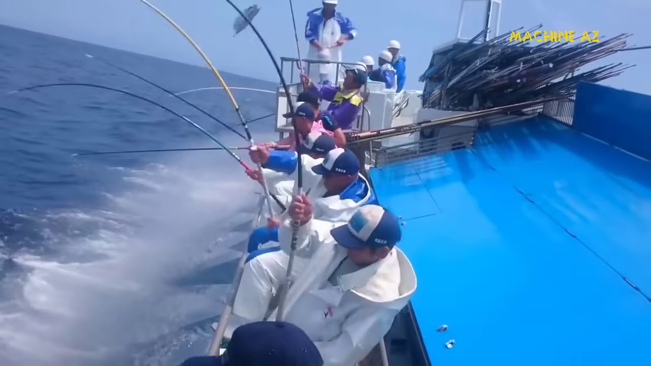 Amazing Fast Tuna Fishing Skill, Catching Fish Big on The Sea YouTube ...