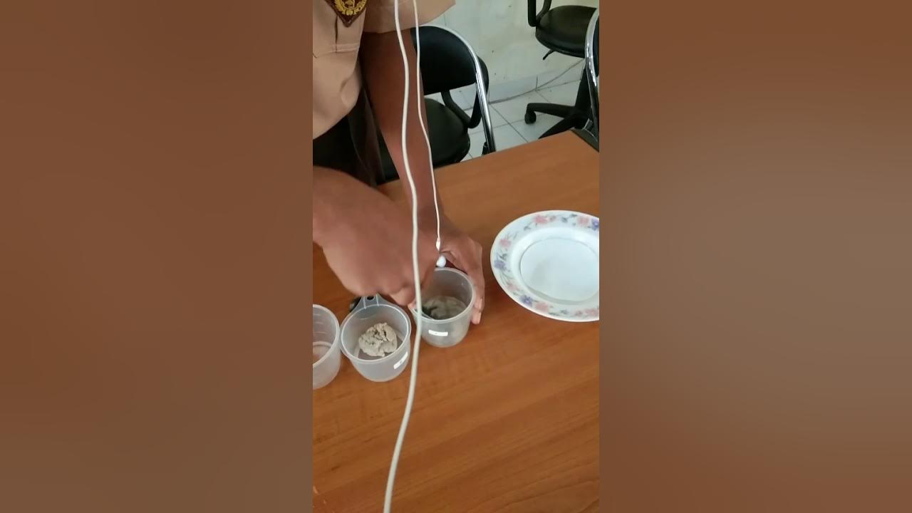 Tutorial Uji formalin pada bakso. - YouTube