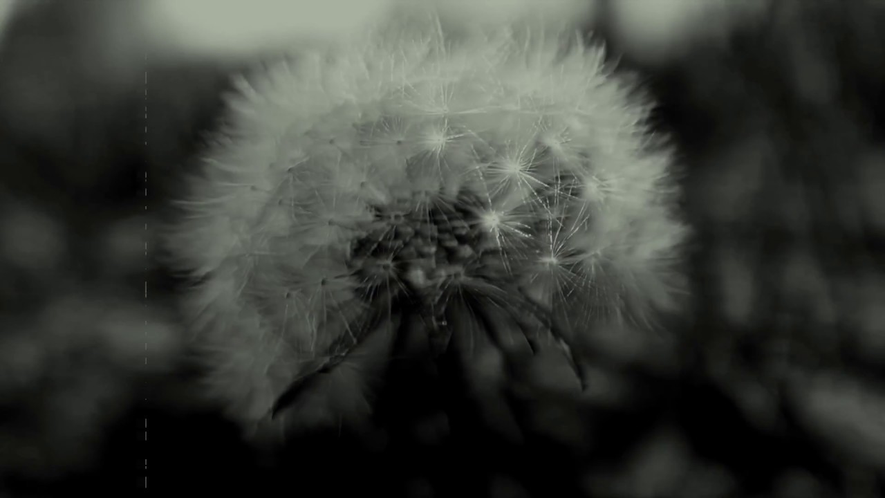 Jacob Jeter Garrett - Barcelona *Official Video* - YouTube