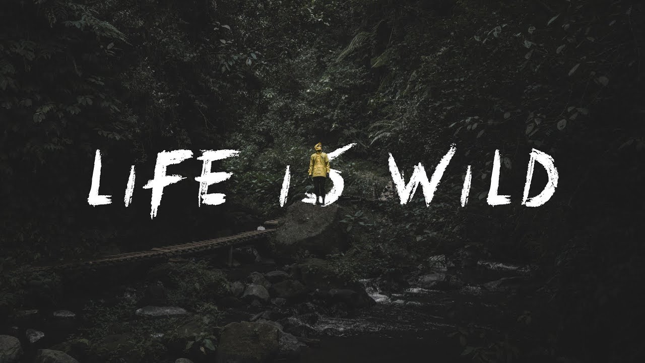 LIFE IS WILD - YouTube
