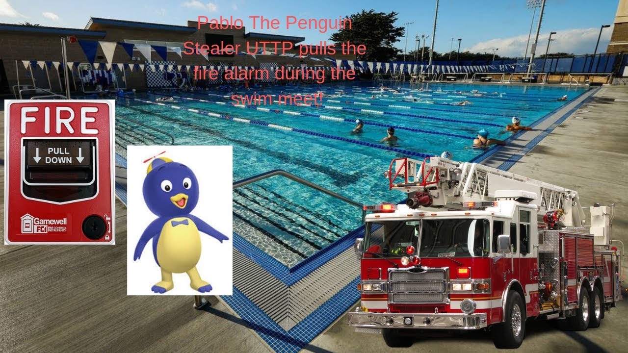 Pablo The Penguin Stealer UTTP pulls the fire alarm during the swim ...