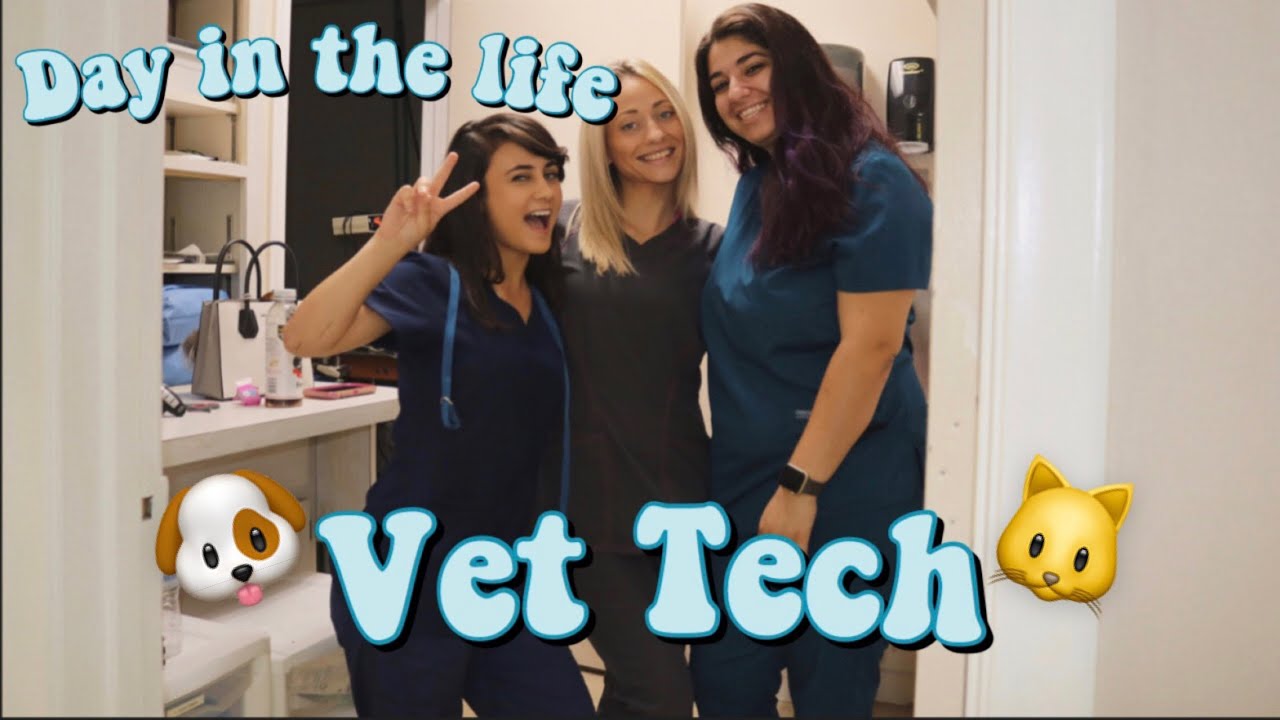 Day In The Life Of A Vet Tech｜Vet Tech Vlog ｜Veterinary Technician ...